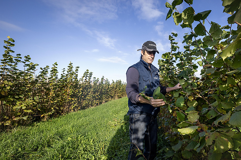 Sjef van Dongen creëert eetbare landschappen, AgriFood Capital
